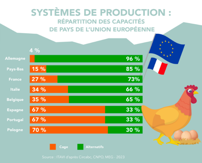 Chiffres clés & Infographies - Les Oeufs